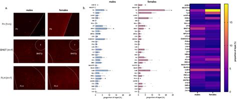 Sex Differences In Afferents And Efferents Of Vasopressin Neurons Of The Bed Nucleus Of The