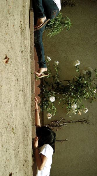 Great Photos Are Made Thanks To Forced Perspective Technique 68 Pics