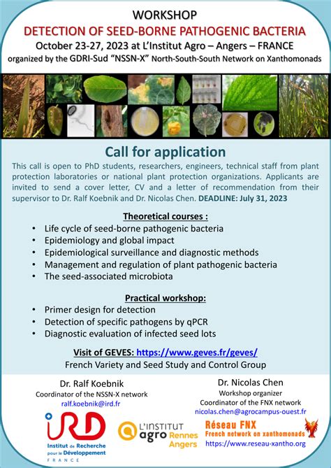 Pdf Detection Of Seed Borne Pathogenic Bacteria Workshop In France
