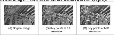 Figure 3 From Face Identification Method Using Scale Invariant Feature Transform Method For