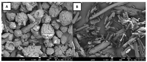 Sugarlectin Interactions For Direct And Selective Detection Of Escherichia Coli Bacteria Using