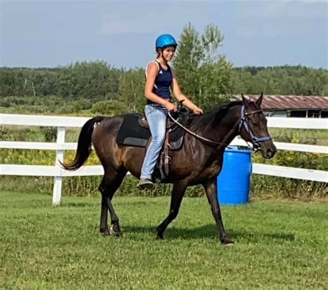 Update The Girl Riding Dixie In The North Country Ride