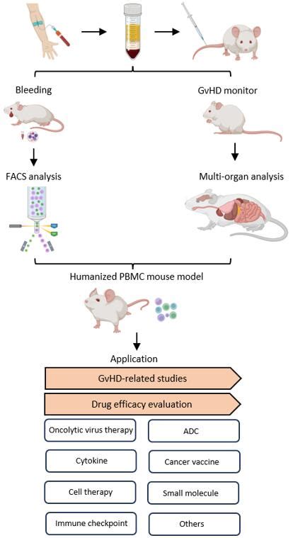 Humanized Pbmc Mouse Models Creative Bioarray