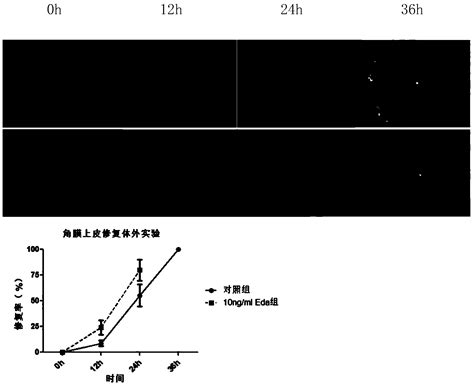 Ectodysplasin Eda Containing Medicine For Treating Ocular Surface