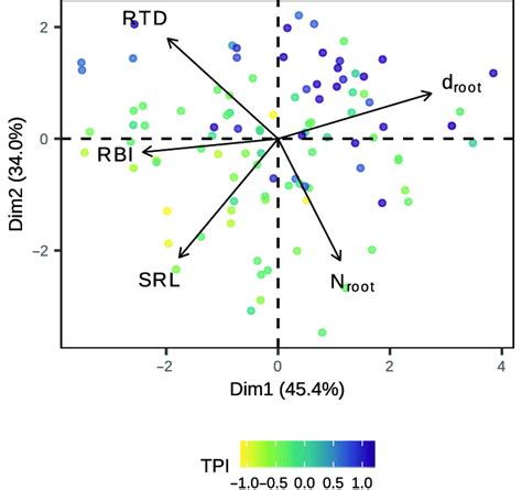 Phylogenetic Principal Components Analysis Of 100 Tree Species