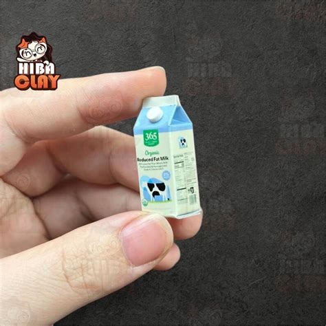 Miniature Milk Carton Drink Realistic Dollhouse Pantry Grocery Decor
