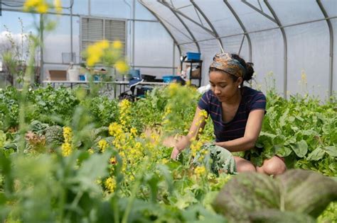 Amanda Galusha On Linkedin Localizing Food Systems Should Be A Huge Priority For Urban And Rural…