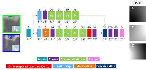 Figure 3 3 From Nonrigid Image Registration Using 3d Convolutional Neural Network With