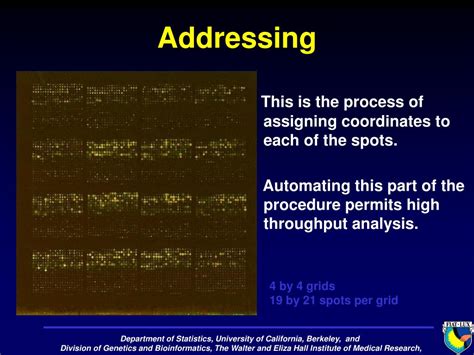 Ppt Image Analysis On Cdna Microarray Data Demo Of Spot Powerpoint