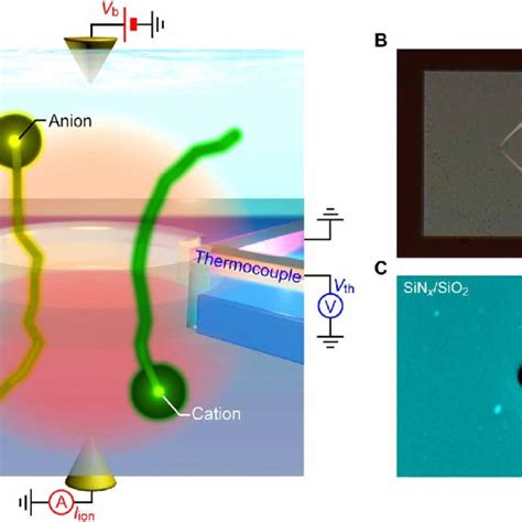 Local Heating In A Solid State Nanopore A A Schematic Model Download Scientific Diagram