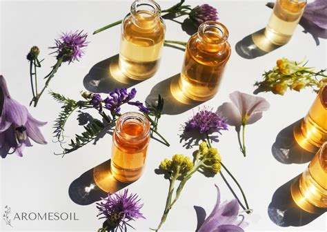 Fragrance Oil Vs Essential Oil Pros Cons And Key Differences