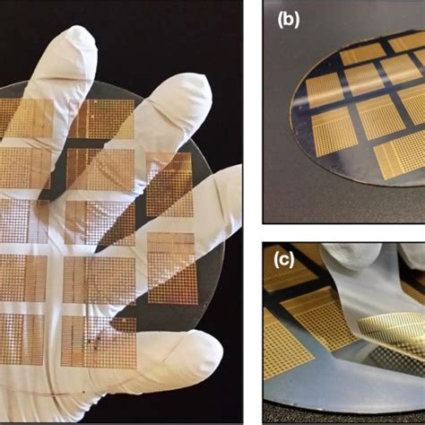 Alternative Approach Electrical AP Sensors A Dense Sensor Assembly Download Scientific