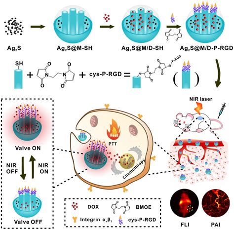 A Near Infrared Light Controlled Smart Nanocarrier With Reversible Polypeptide Engineered Valve