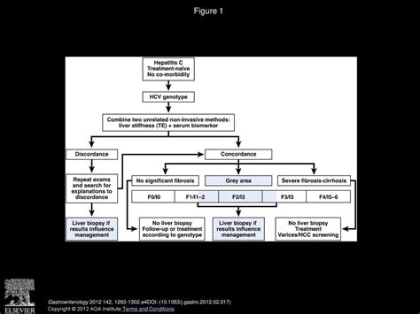 Volume 142 Issue 6 Pages E4 May 2012 Ppt Download