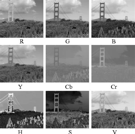Figure 1 From New Pixel Sorting Method For Palette Based Steganography