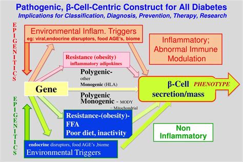 Ppt Ir And Hyperinsulinemia Powerpoint Presentation Free Download