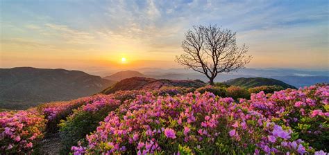 Cafe Maison De Han 예술인들이 만든 카페 메종드 한 안녕하세요 ‘메종드 한입니다 메종드한maison De Han의 ‘메종은 프랑스어로 ‘집