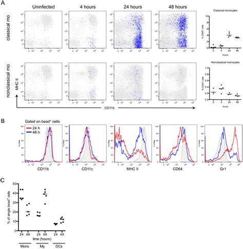 Classical Monocytes Robustly Enter The Bladder And Become Download