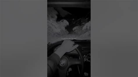 девочкой своею ты меня назови 🤍🥺 Youtube