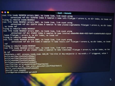 System Is Borked After Resizing Btrfs Partition Issues And Assistance Garuda Linux Forum
