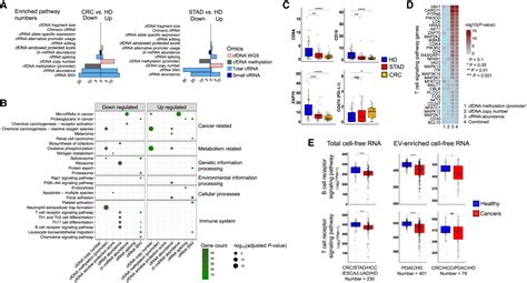 Cell Free Multi Omics Analysis Reveals Potential Biomarkers In Gastrointestinal Cancer Patients
