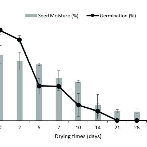 Root Growth Of 1 Year Old And 3 Year Old Seedlings According To Potting Download Scientific