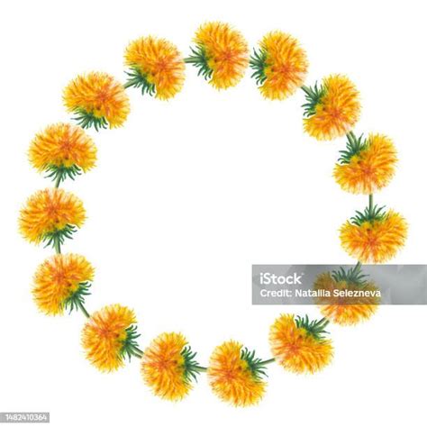 민들레 꽃의 수채화 화환입니다 흰색 고립된 배경에 있는 손으로 그리는 클립아트 식물 초원 그림 디자이너 장식 엽서 포장지 스크랩북 표지 초대장 웨딩 디자인 포스터 및 섬유