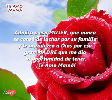 Palabras Para Una Madre De Verdad Valiente Y Ejemplar