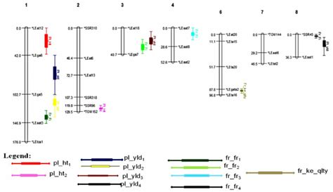 Quantitative Trait Loci Qtl Map Showing Location Of The Qtls For Download Scientific Diagram