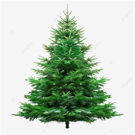 녹색 크리스마스 트리 크리스마스 트리 초록 소나무 Png 일러스트 및 이미지 에 대한 무료 다운로드 Pngtree