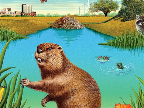 The Beaver