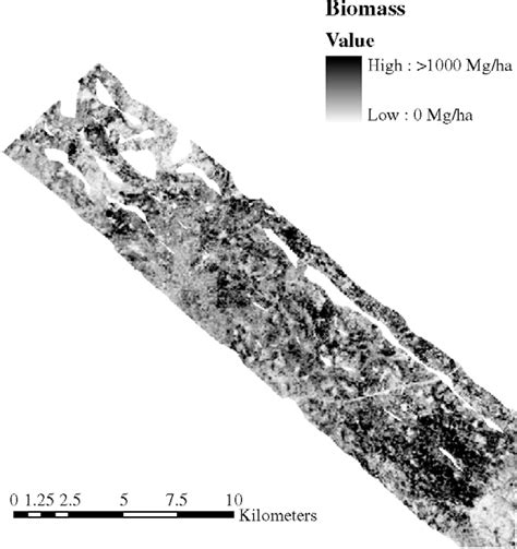 Figure 1 From Mapping Forest Structure For Wildlife Habitat Analysis