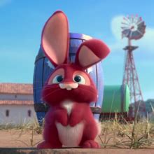 Bunny Gallery Artofit