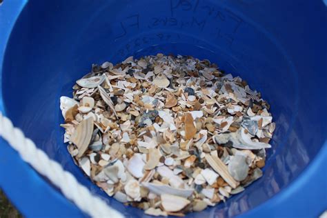 Natural Crushed Shells 1 Lb Broken Shells Shell Pieces Vase Filler Virginia Beach Crushed