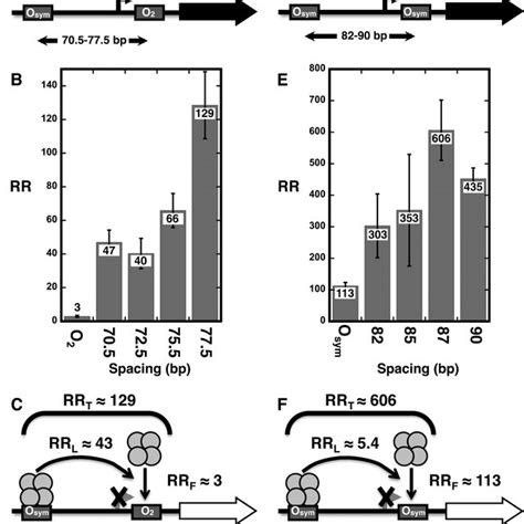 Chemically Induced Dimerization Triggers Taled Repression By Dna