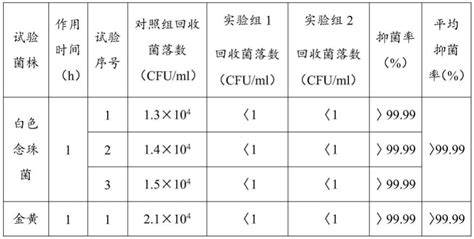 一种银离子抗菌剂及其制备方法与流程