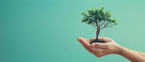 Premium Photo Woman S Hands Holding A Small Tree A Symbol Of Growth And Connection Concept