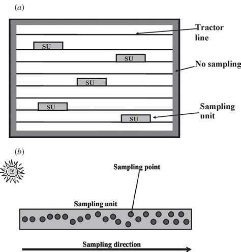 Sampling Strategy In Each Field A And Sampling Strategy Within Each Download Scientific