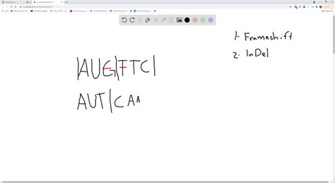 A Point Mutation In The Gene Cryba4 Mim 123631 Replaces A Phenylalanine Codon With A Serine