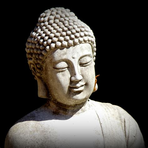 295 The Power Of Equanimity The Zen Studies Podcast