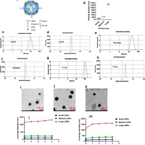 Characterization Of Lipid Mrna Particles A Schematic Representation Download Scientific