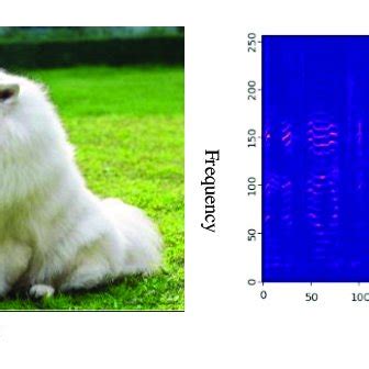 Common Image Left And Spectrogram Right The X And Y Axes Of Download Scientific