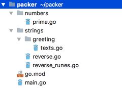A Beginners Guide To Packages In Golang CalliCoder