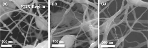 Sem Micrographs Of Tio2 Nano Fibers With Pvp Concentration Of A 1 4 G