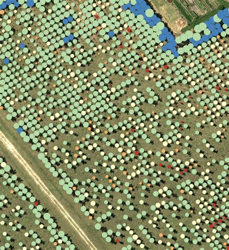 High Resolution Multispectral And Rgb Composite Drone Sensor Micasense Rededge P Dual