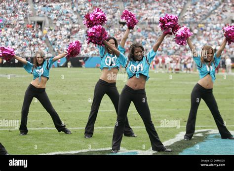 October 11 2009 The Carolina Panther Cheerleaders The Top Cats The