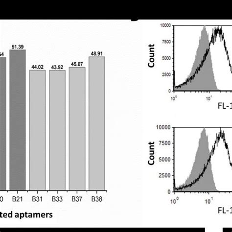 Representation Of Aptamers Binding Affinity A Binding Affinity Of Download Scientific Representation Of Aptamers Binding Affinity A Binding Affinity Of Download Scientific
