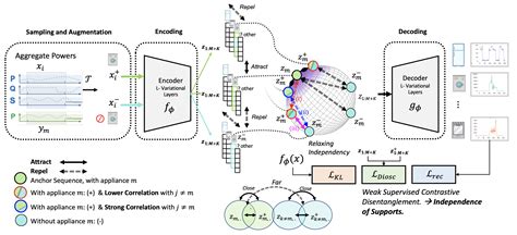 Disentangling Time Series Representations Via Contrastive Independence Of Support On L