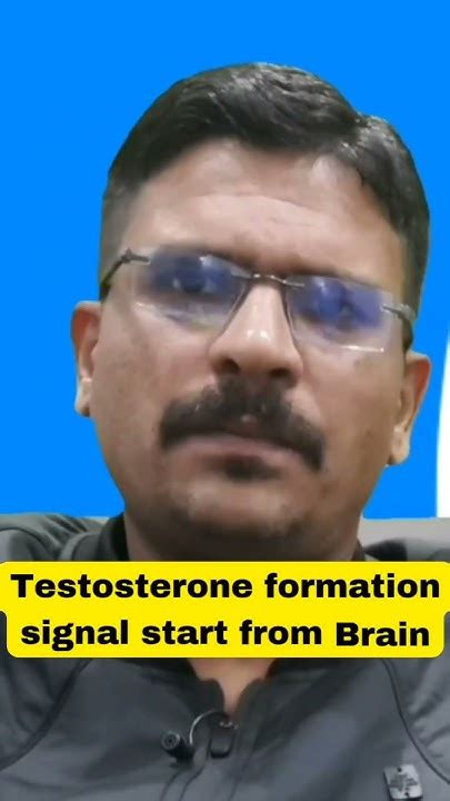 Testosterone कहाँ बनता है Testosterone टेस्टोस्टेरोन Shorts Shortsfeed Trending Viral Sex