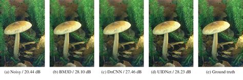 Figure 1 From End To End Unpaired Image Denoising With Conditional